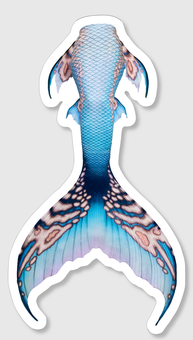 Moonshell Merbella by Finfolk Signature Tail Sticker – Finfolk Productions