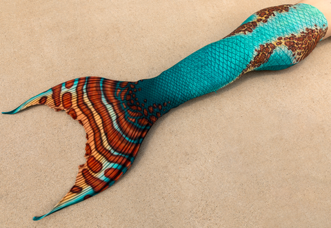 Discovery Tails – Finfolk Productions