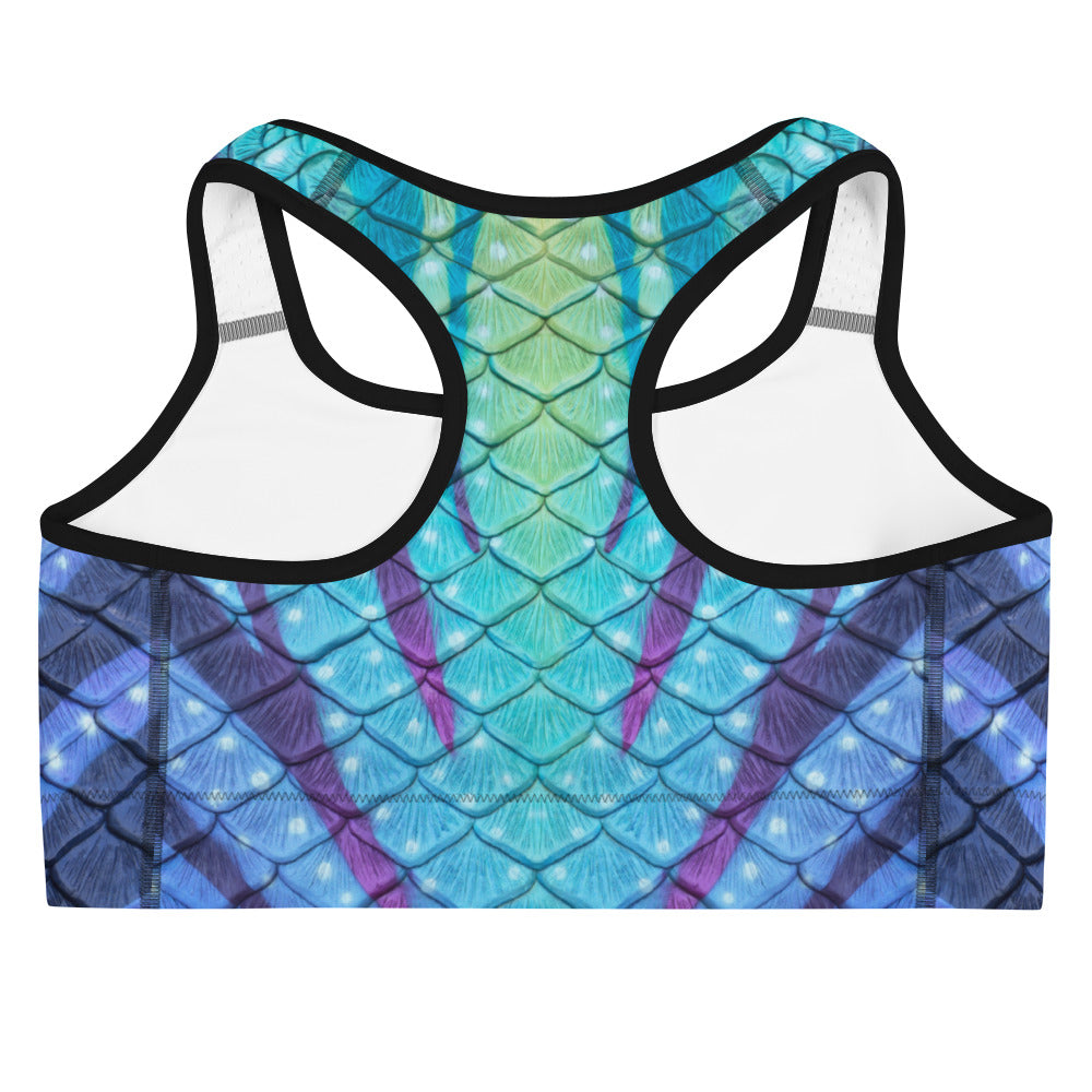 Navi Nightfall Sports Bra – Finfolk Productions